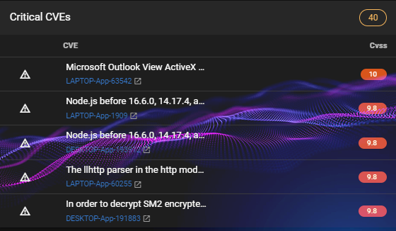 What is a CVE Vulnerability and why are they important?